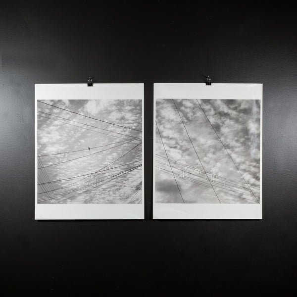 Signed Rick Chapman Photographs, 1996 | S16 Home