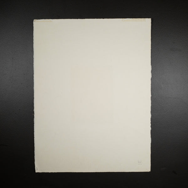 Peter Blake Color Screenprint 29/100 Signed 1970 | S16 Home