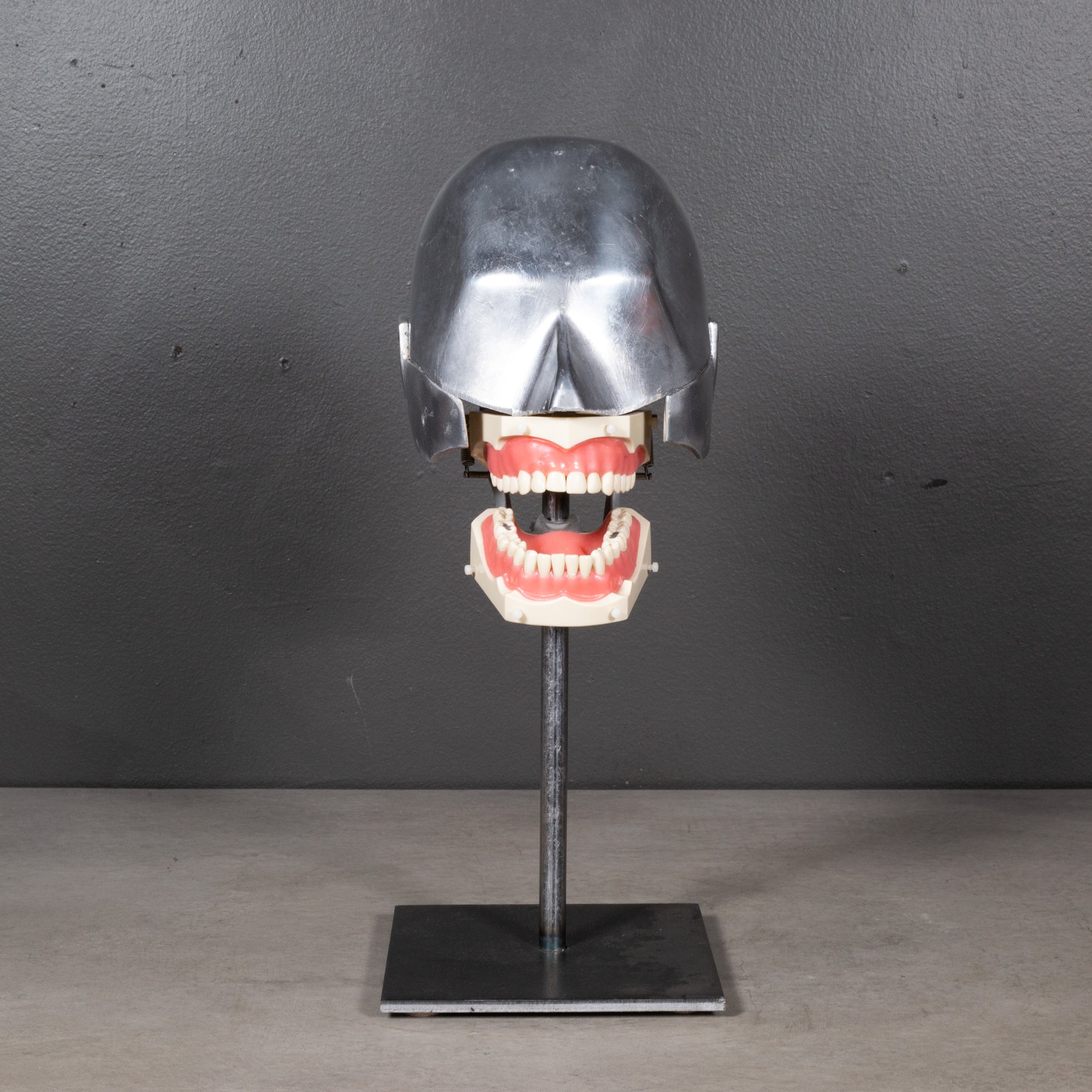 Mid-century Dental Phantom Head Model on Custom Stand c.1960s | S16 Home