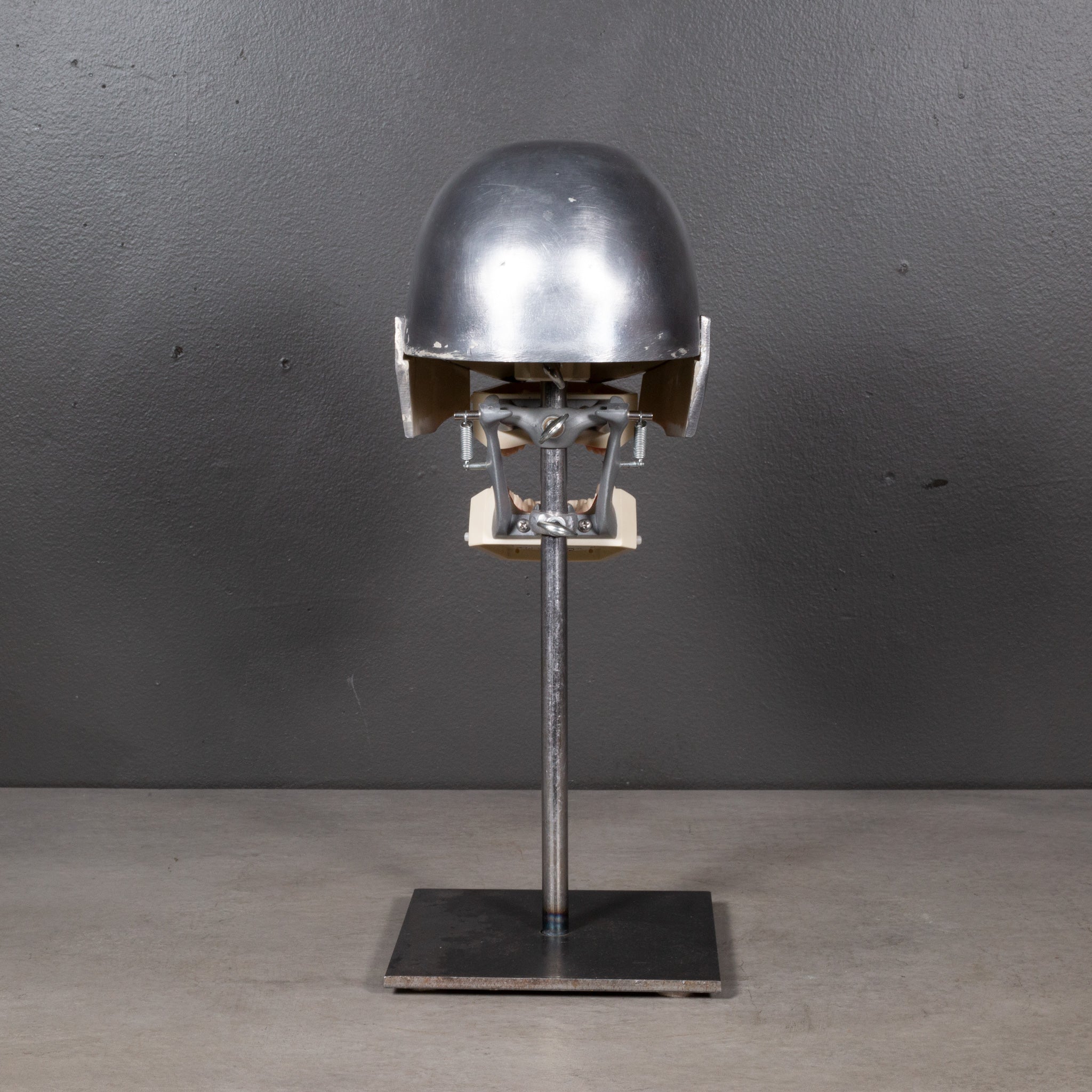 Mid-century Dental Phantom Head Model on Custom Stand c.1960s | S16 Home