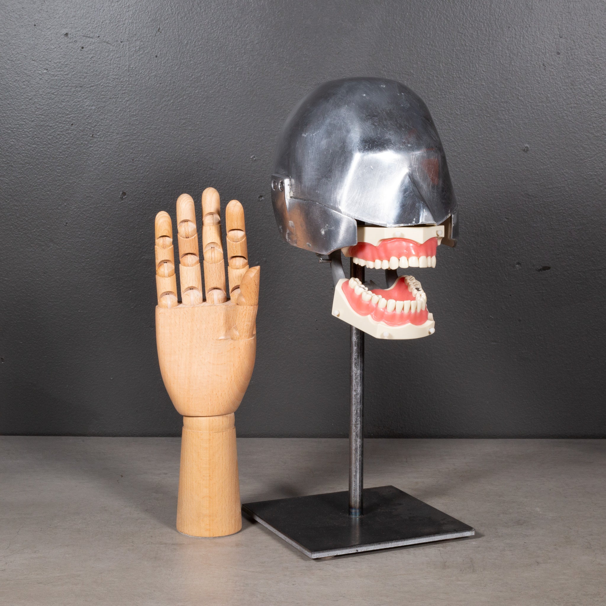 Mid-century Dental Phantom Head Model on Custom Stand c.1960s | S16 Home