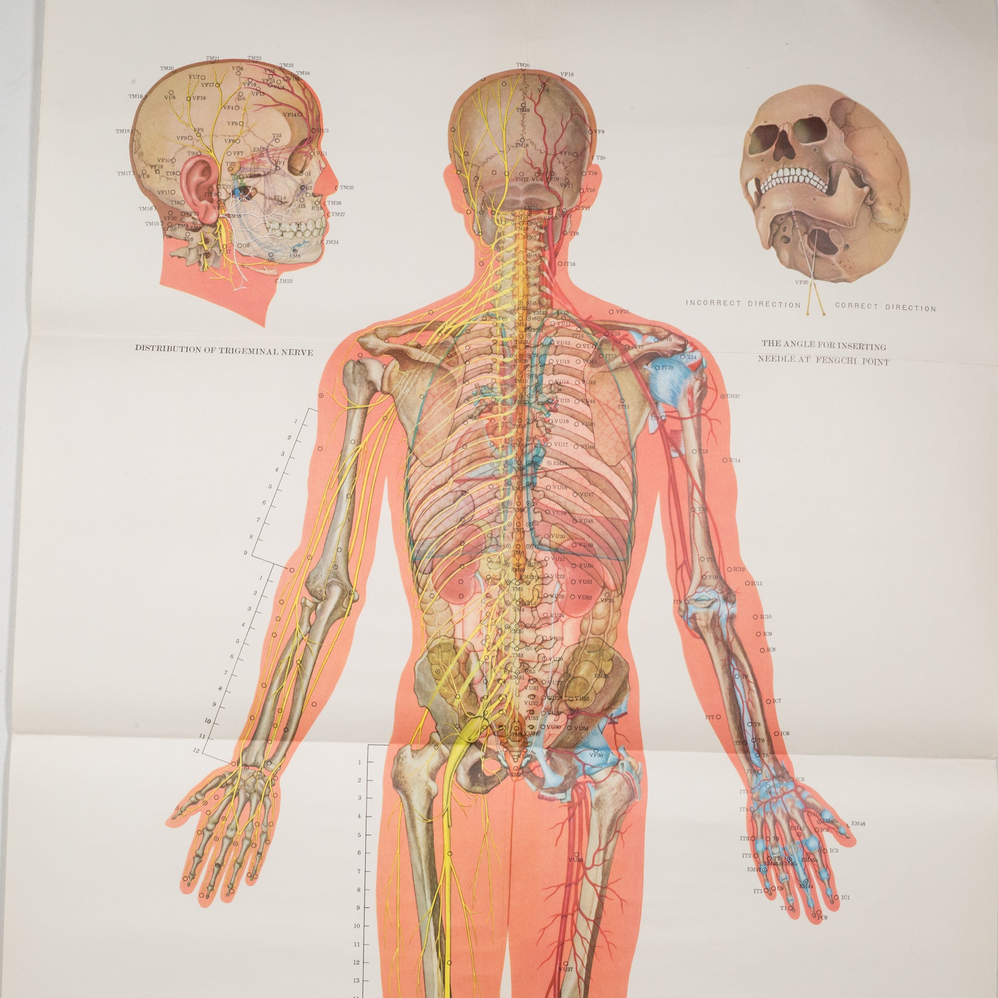 Vintage Chinese Acupuncture Posters c.1976 | S16 Home