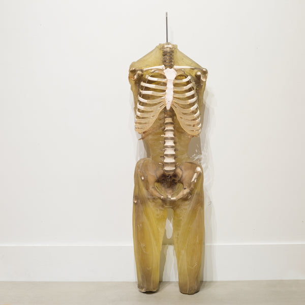 Military Anatomy Class Resin Skeleton c.1970 | S16 Home