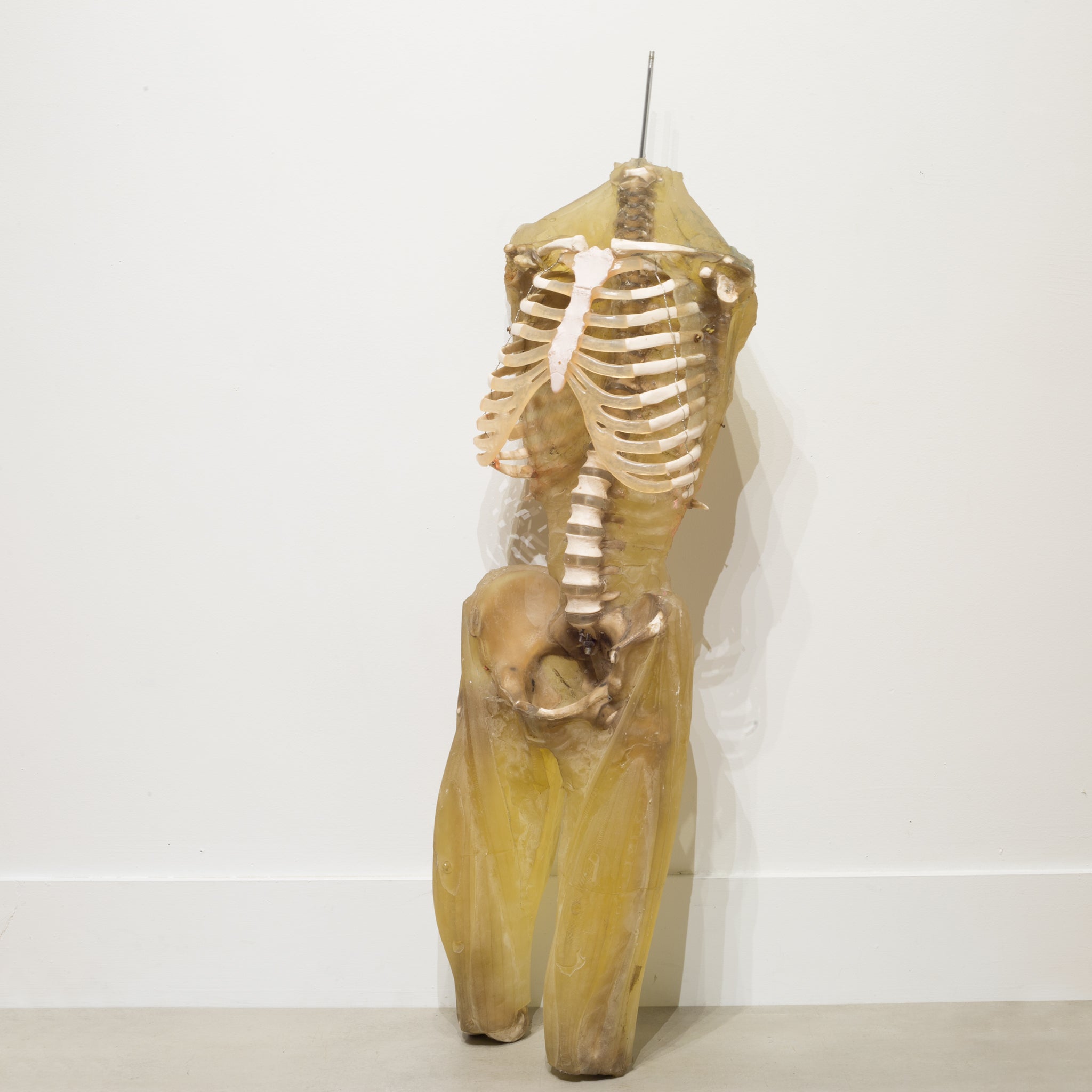 Military Anatomy Class Resin Skeleton c.1970 | S16 Home