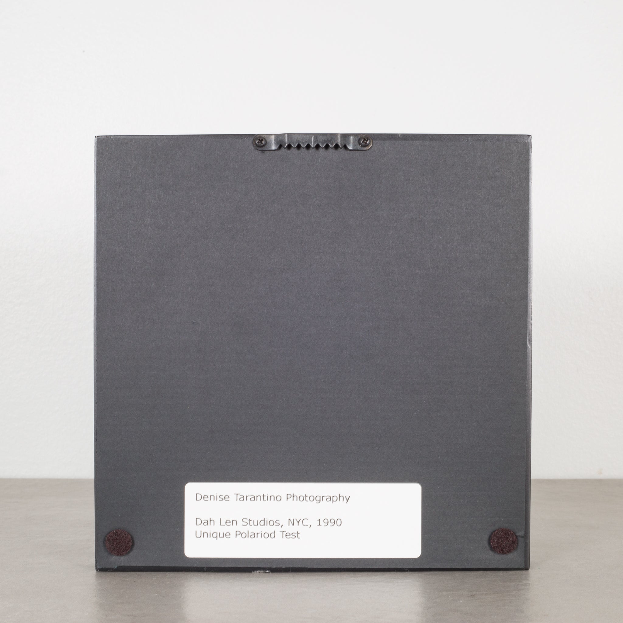 Polaroid Test Image #46 by Denise Tarantino for Dah Len Studios c. 199 ...